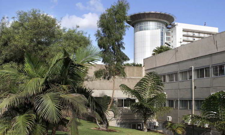 Facultades y Escuelas - La Universidad