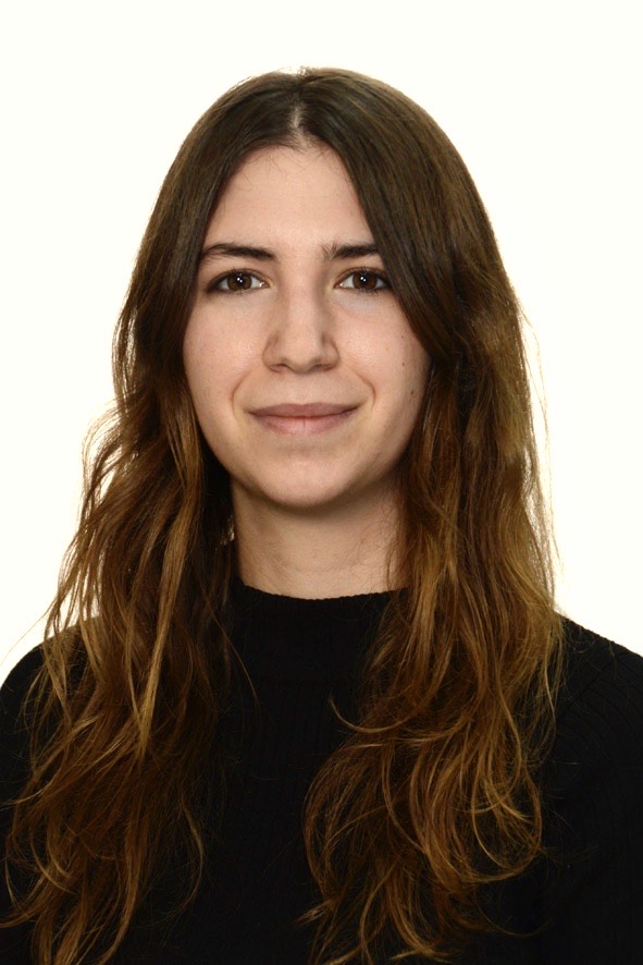 María González Falcón - HipotesisHipotesis