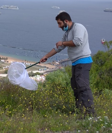 David Lugo - HipotesisHipotesis